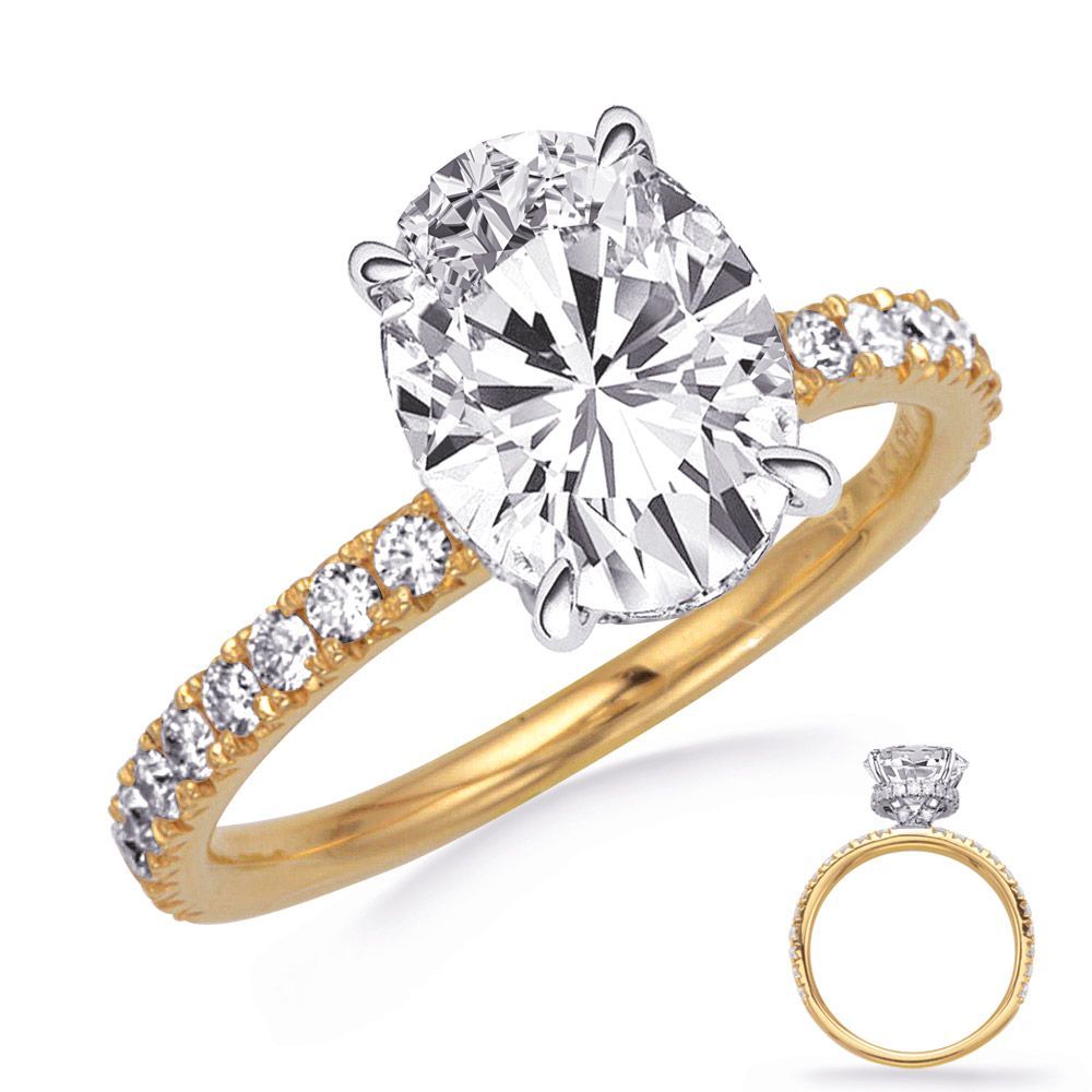 Johnston Jewelers: A Premium Jewelry Store in Largo, Florida ...
